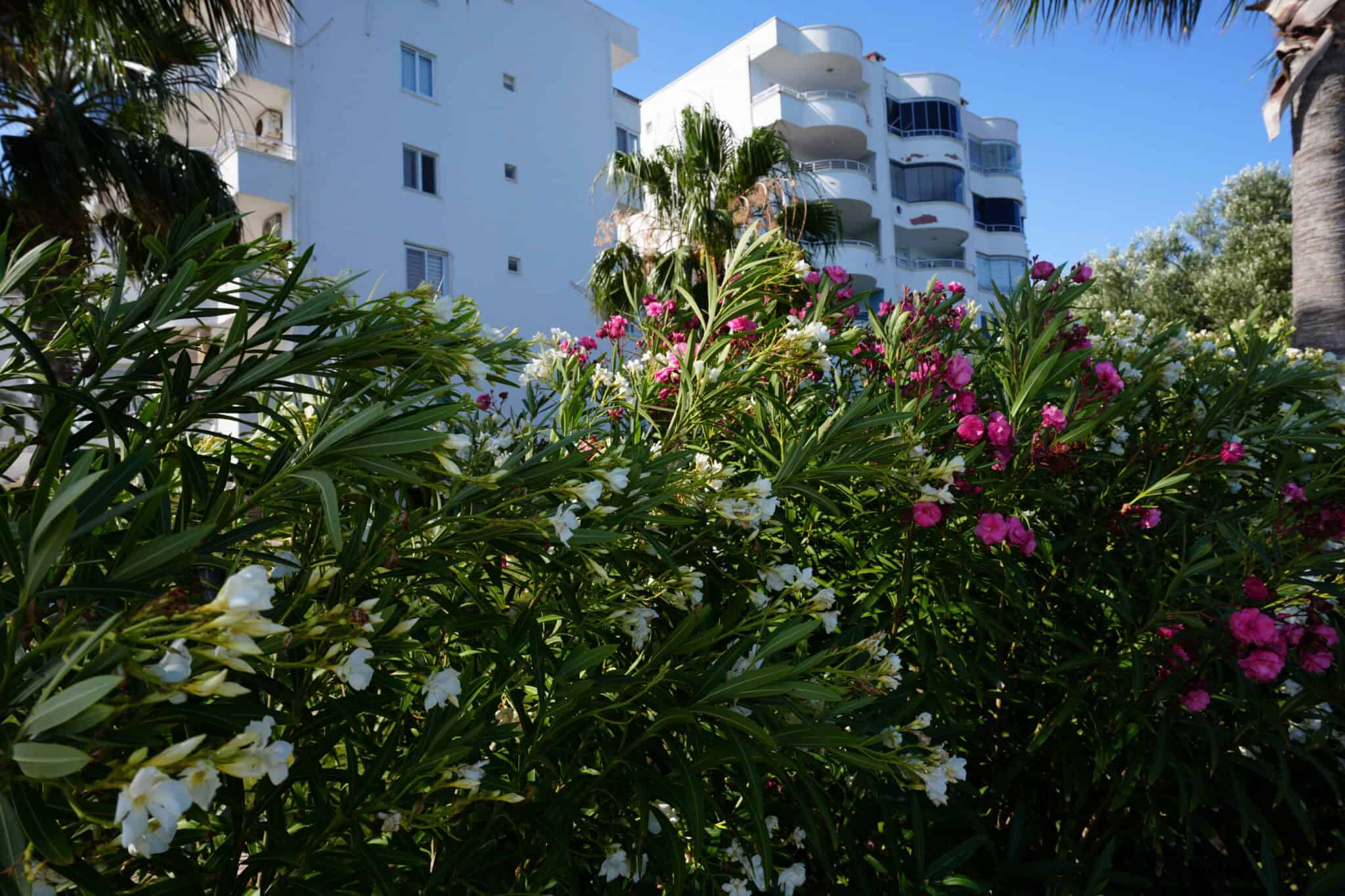 Mersin Erdemli Ayaş Denize Sıfır Hal Der SitesiVİPGAYRİMENKUL